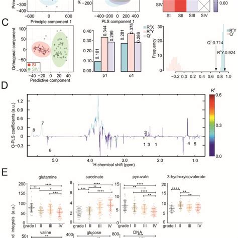 Nmr Metabolomics Analysis Of The Tissue Samples A Pca And Pls Da