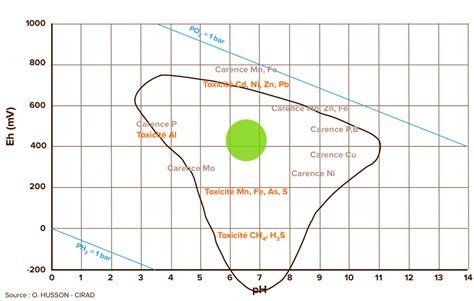 Potentiel Redox Et Ph Définitions Et Influence Sur Le Sol Et La Plante