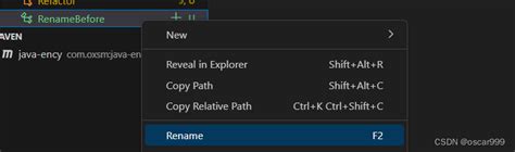 vs code之java代码重构和源代码操作 vscode java csdn博客