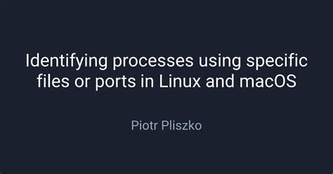 Identifying Processes Using Specific Files Or Ports In Linux And Macos