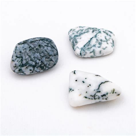 Facts About Tree Agate Meanings Properties And Benefits Gemstagram