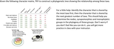 solved given the following character matrix try to