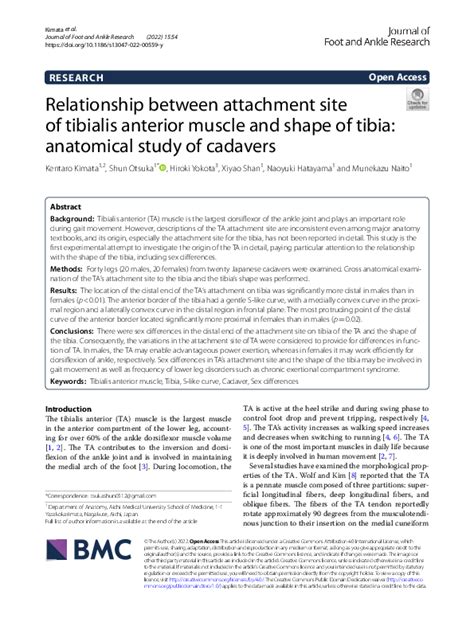 Pdf Relationship Between Attachment Site Of Tibialis Anterior Muscle And Shape Of Tibia