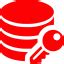 Red Data Encryption Icon Free Red Database Icons