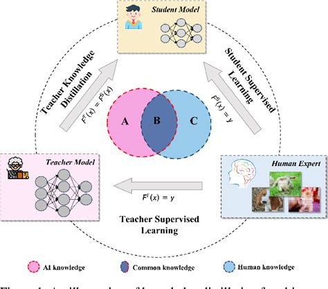 Figure 1 From Rethinking Data Augmentation In Knowledge Distillation