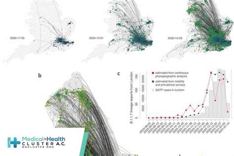Spatiotemporal Invasion Dynamics Of Sars Cov 2 Lineage B 1 1 7 Emergence Medical Health Cluster