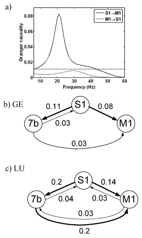 Response Preparation And Inhibition The Role Of The Cortical