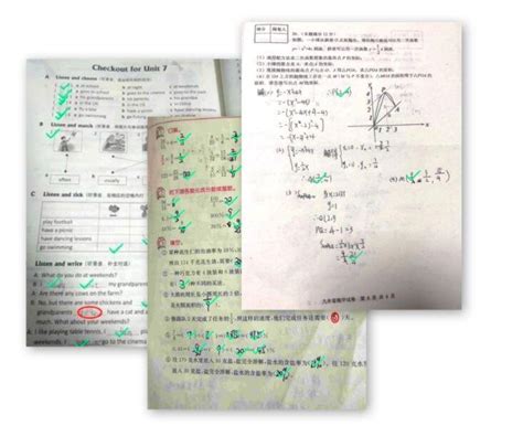 蜜蜂作业小程序，自动批改、错题统计、通知、打卡，免费的教育类在线工具！ 哔哩哔哩