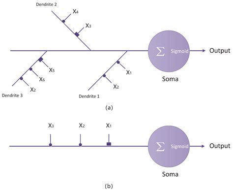 Artificial Visual System For Orientation Detection