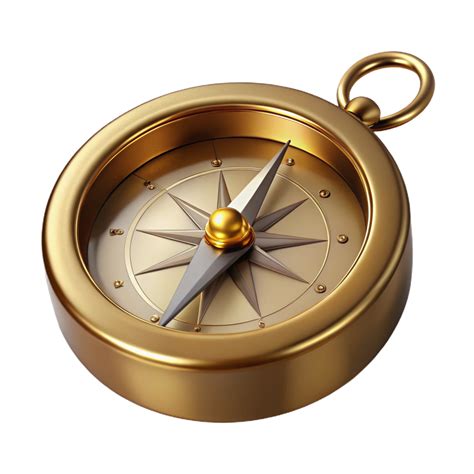 Elegant Playful Retro A Single Antique Brass Compass Pointing North