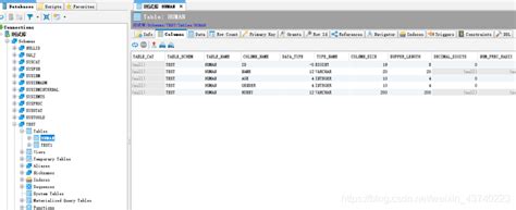 Dbvisualizer Pro版本 的入门使用详细教程 Csdn博客