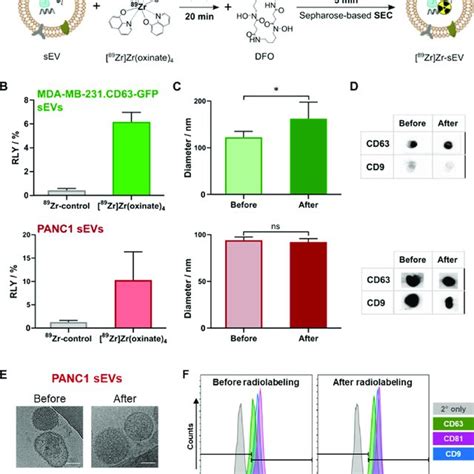 Radiolabeling And Quality Control Of Sevs A Schematic Representation Download Scientific