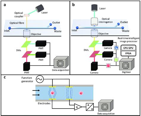 schematic of sample detecting system setups in microfluidic flow