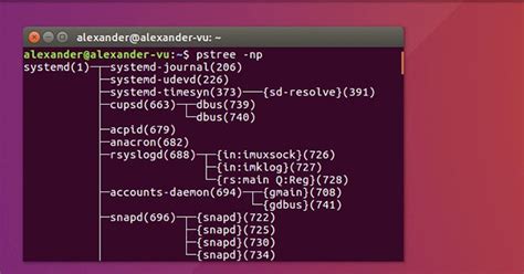 Instructions For Using Pstree Command On Linux