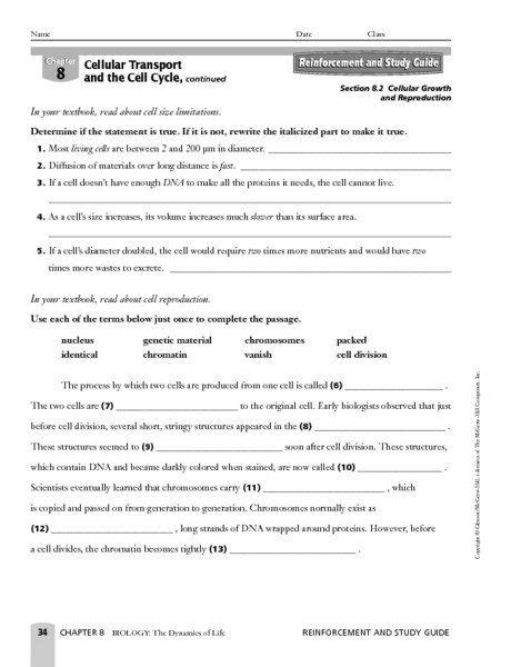 Cellular Transport Worksheet Answers E Street Light