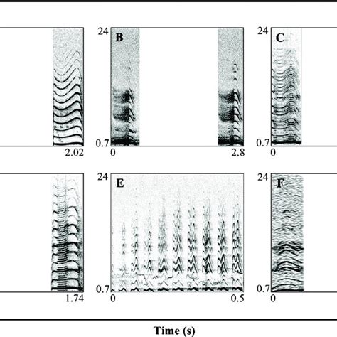 Spectrograms Of Different Vocal Categories Of The Adult Male Asian