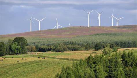 Guidance On Using An Updated Collision Risk Model To Assess Bird