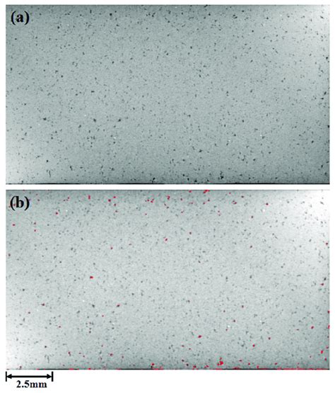 Metallographic Cross Sectional Examination Of Sample 2 A Plane