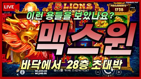 🔥5라이온즈 메가웨이즈🔥바닥에서 한방 대박역전 프라그마틱온라인슬롯슬롯머신슬롯라이브 슬롯생방송 프라그마틱 강원랜드 Youtube