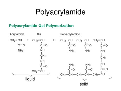 Ppt Sodium Dodecyl Sulphate Polyacrylamide Gel Electrophoresis