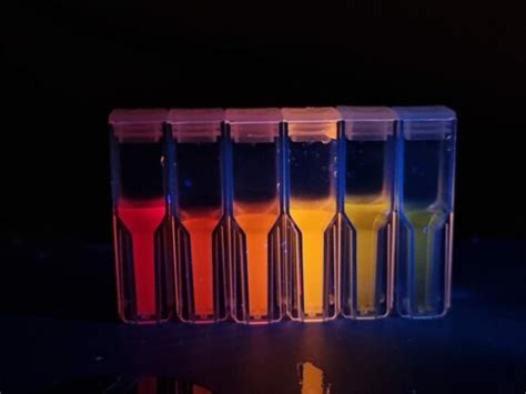 Tracing And Sorting Solutions Sinbiosys