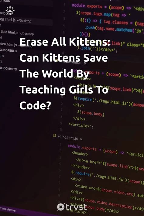 erase all kittens teaching girls to code