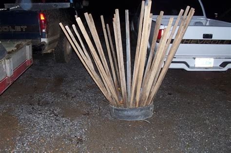 Crappie Bone Structure At James Oneill Blog