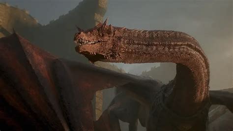 House Of The Dragon Cada Dragón Tendrá Su Personalidad