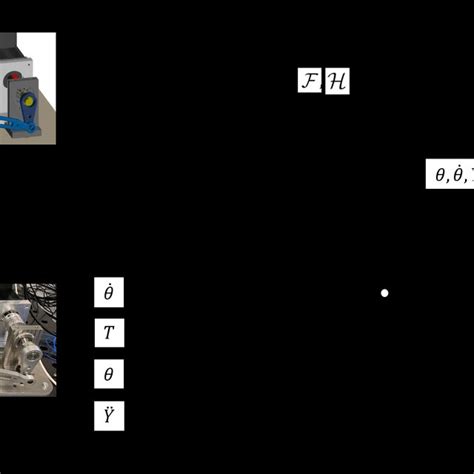 Diagram Of The Coupled State Input Estimation Scheme And Signal