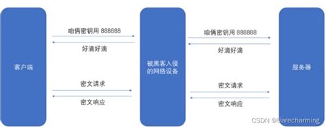 协议 htpps csdn博客