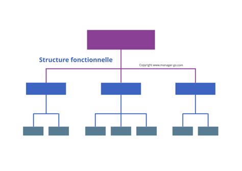 Définition Dune Structure Fonctionnelle Avantages Et Inconvénients