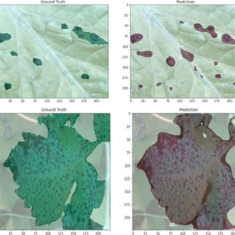 Visual Segmentation Results Of Some Images Of UNet Model Download Scientific Diagram