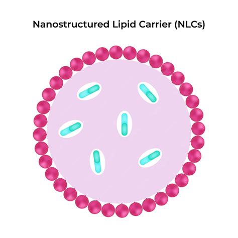 Premium Vector Liposome Nanostructured Lipid Carrier Virus Design Vector Illustration