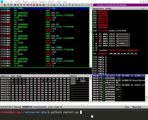 vulnserver gter exploitation blog fluid attacks