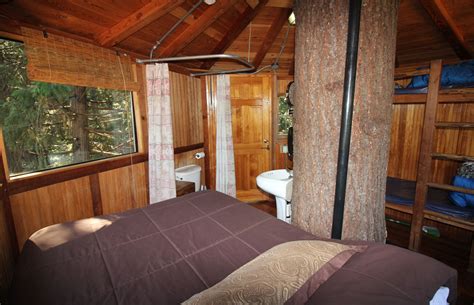 The Treezebo Out N About Treesort