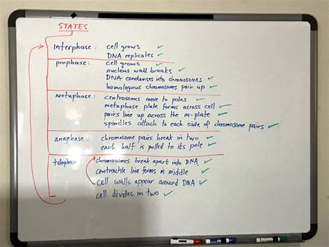 github iangiblin meiosis unity animation simple animation of cell meiosis using unity3d