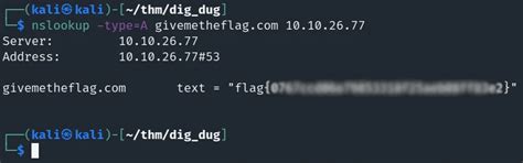 TryHackMe Dig Dug Walkthrough Writeup By Logoseq