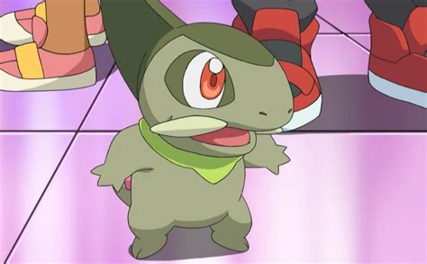 Axew The Bloom Is On Axew Pokemon Com