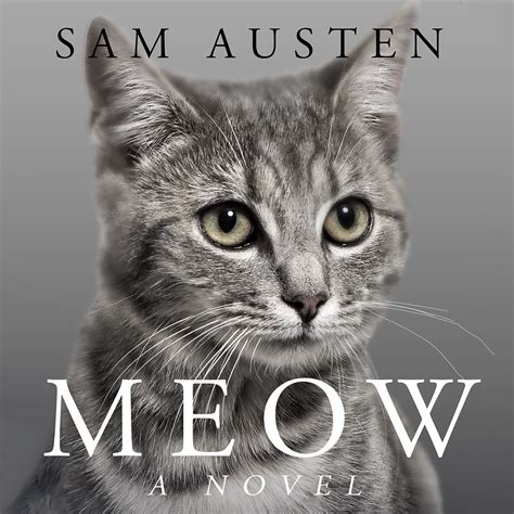 Audiobook Meow A Novel The Meow Library