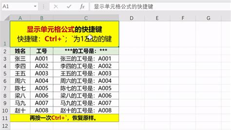 Excel下拉选择项怎么设置，一图快速学会设置单元格下拉选项 趣帮office教程网