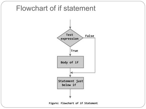 C Decision Making And Looping Pptx Programming Languages Computing