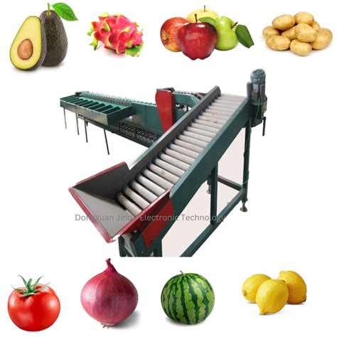 automatic fruit and vegetable apple mango potato weighing grading sorter weight sorting machine