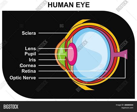Understanding Eye Diagram And Its Components