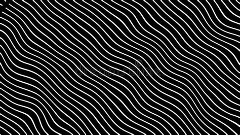 Abstract White Curved Lines In Dynamic Wave Motion Background Animation Pattern Stock Video