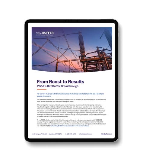 Pgande Case Study Birdbuffer