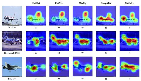 class activation maps visualization of different data augmentation