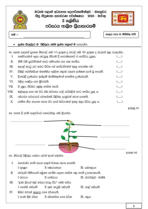 රුහුණු තක්සලාව අනාවරන පරීක්ෂණ 3 ශ්‍රේණිය පරිසරය ඔයලාගේ