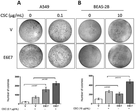 HPV 16 E6 And E7 Expression In A549 A And BEAS 2B B Cells Exposed