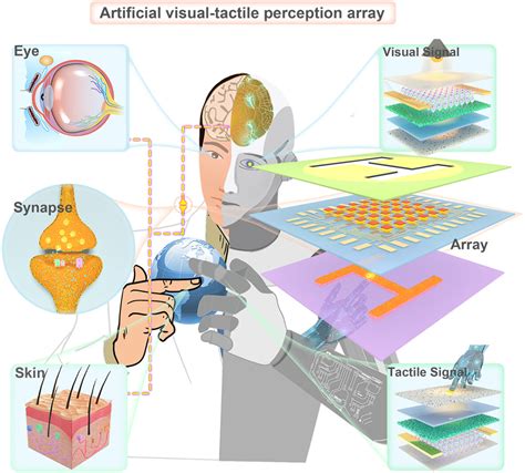 Artificial Visual‐tactile Perception Array For Enhanced Memory And