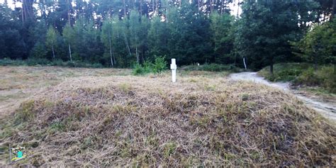 Mass Grave